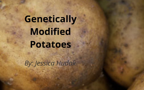 Genetically Modified Potatoes by Jessica Hudak on Prezi