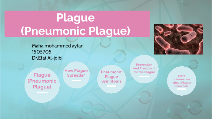 Plague (Pneumonic Plague) by maha mohammed on Prezi