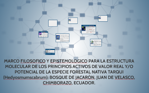 MARCO FILOSOFICO Y EPISTEMOLOGICO PARA LA ESTRUCTURA MOLECUL by David ...