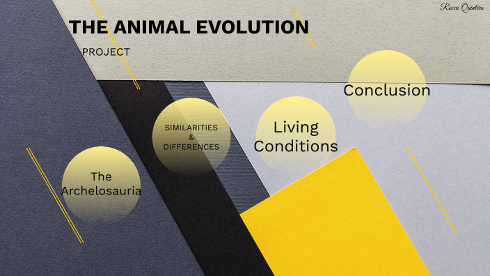 Animal Evolution Project by Rocco Quintero on Prezi
