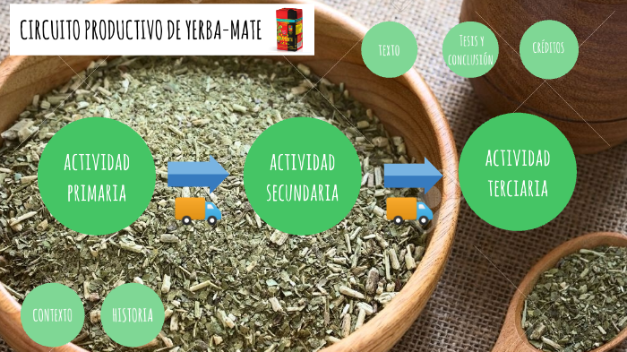 Proceso productivo de yerba-mate by Fiore Molteni on Prezi