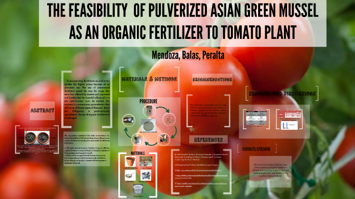 THE FEASIBILITY OF PULVERIZED ASIAN GREEN MUSSEL AS A by Ruschelle ...