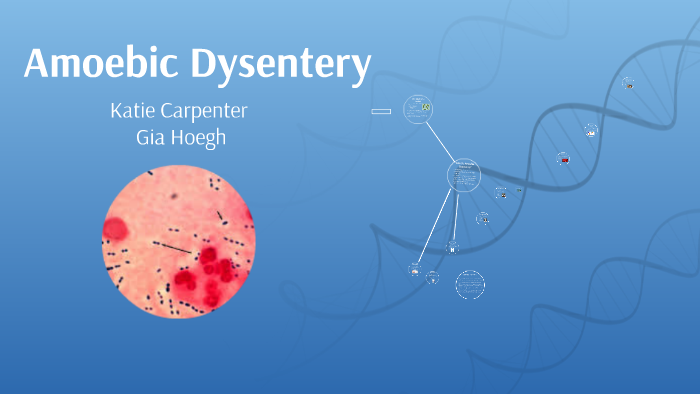 Amoebic Dysentery by Katie Carpenter on Prezi