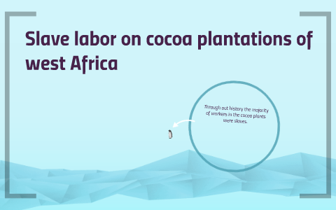 Slave labor on cocoa plantations of west Africa by Alex Sadlowski on Prezi