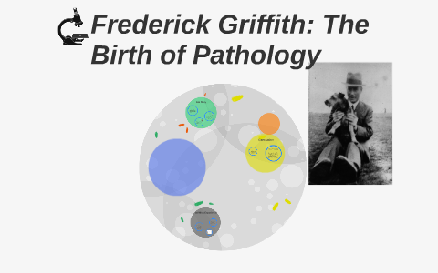 Frederick Griffith: The Birth of Pathology by Madison Honig on Prezi