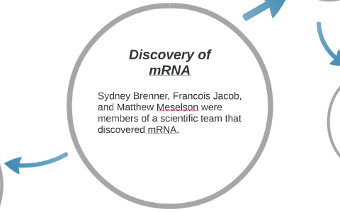 Discovery of mRNA by Kiana Matos on Prezi