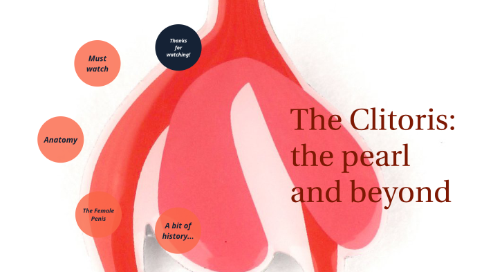 The Clitoris by on Prezi