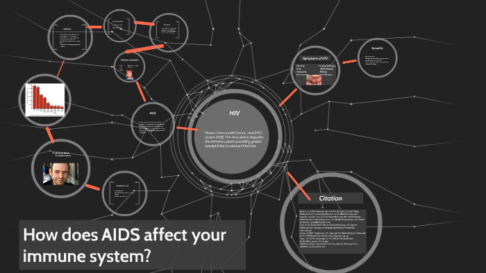 How does Aids affect your immune system by William Lawrence on Prezi