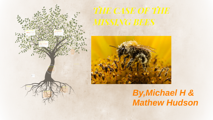 THE CASE OF THE MISSING BEES by michael hall on Prezi