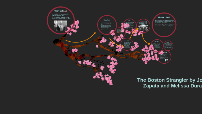 The Boston Strangler by Joyce Zapata and Melissa Duran by Joyce Zapata ...