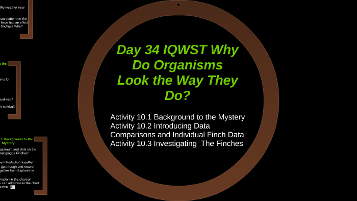 Day 34 IQWST Why Do Organisms Look the Way They Do? by Dan Covey