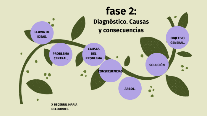 Fase 2: Diagnóstico. Causas y consecuencias by denisse arrazola on Prezi