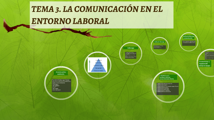 TEMA 3. LA COMUNICACIÓN EN EL ENTORNO LABORAL by Consultoria Formación ...