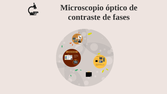 Microscopio óptico de contraste de fases by Andrea Díaz Castellano on Prezi
