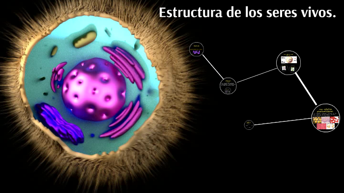 Estructura de los seres vivos. by Catalina Mancilla on Prezi