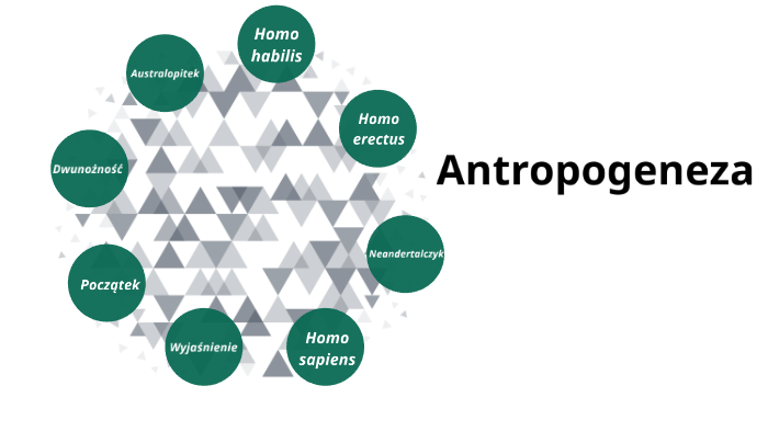 Antropogeneza by Michał Cisowski on Prezi