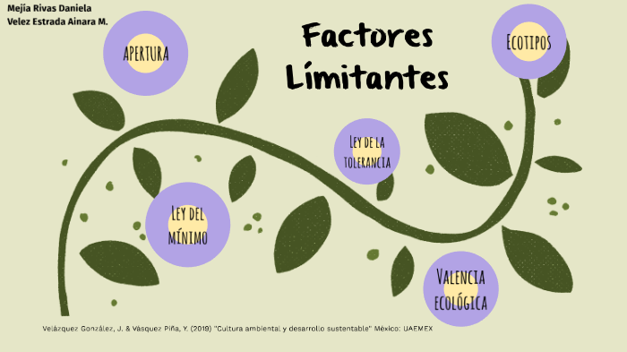 Factores límitantes. by Daniela Mejia Rivas on Prezi