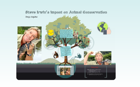 Steve Irwin's impact on Animal Conservation by Jorge Aquino on Prezi