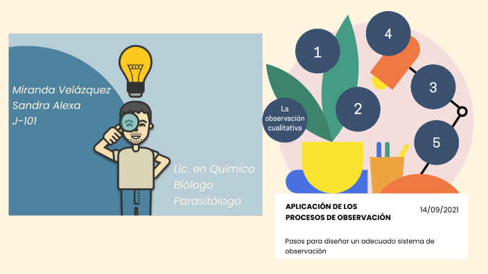 APLICACIÓN DE LOS PROCESOS DE OBSERVACIÓN by alexa miranda velazquez on ...