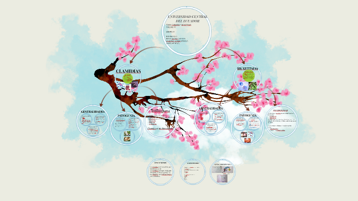 UNIVERSIDAD CENTRAL DEL ECUADOR by Geomara García Barriga on Prezi