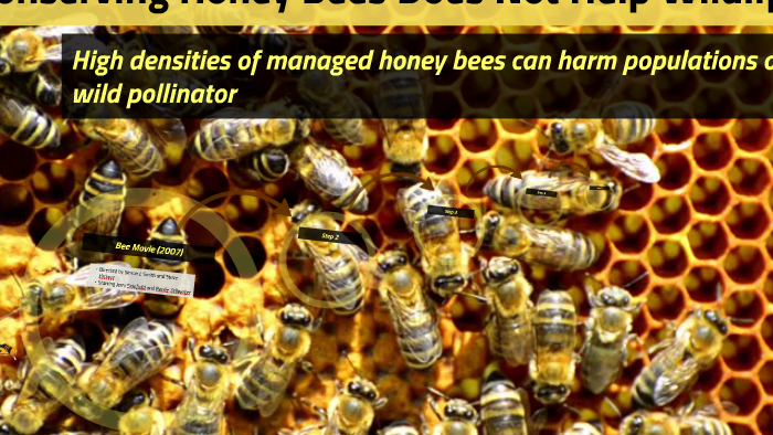 Conserving Honey Bees Does Not Help WIldlife by Briana Staley on Prezi Conserving Honey Bees Does Not Help WIldlife by Briana Staley on Prezi