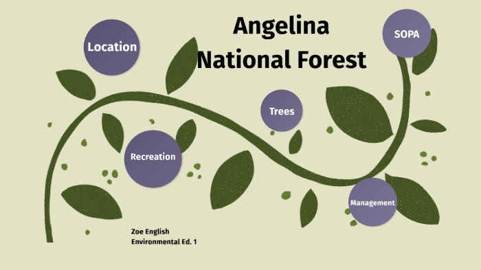 Angelina National Forest by Zoe English on Prezi