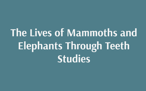 The Evolution of Elephants through teeth studies by Sage Rundlett on Prezi