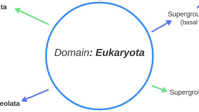 Domain Eukaryota by Krista Herbacko on Prezi
