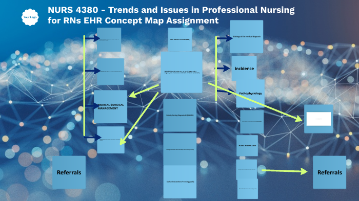 EHR Concept Map by Gary Johnson on Prezi