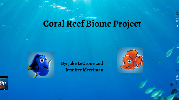 Coral Reef Biome Project by Jen Me on Prezi