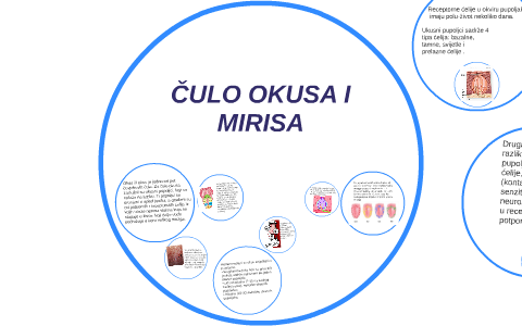 ČULO OKUSA I MIRISA by lamia bizovic on Prezi