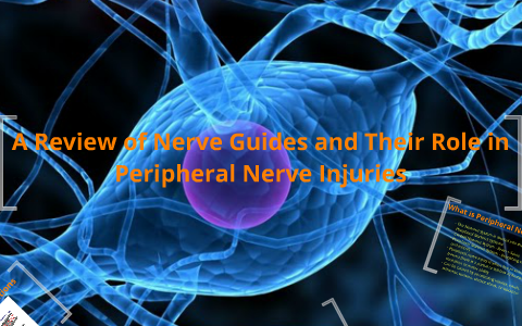 A Review of Nerve Guides and Their Role in Peripheral Nerve Injuries by ...