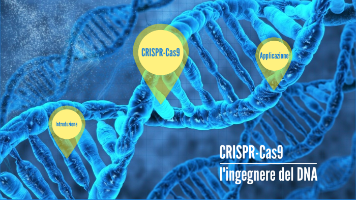Tesina Luca Corradini - CRISPR by Luca Corradini on Prezi