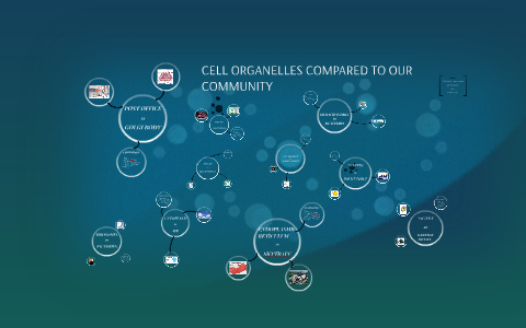 CELL ORGANELLES, COMPARED TO OUR COMMUNITY by Sarah Samuelson on Prezi