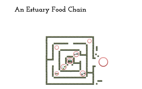 Estuary Food Chain by Christian Fisher on Prezi