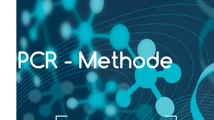 PCR - Methode by Julian Bergmann