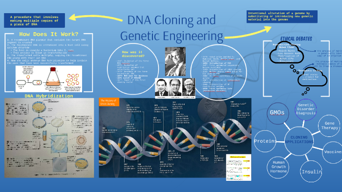 DNA Cloning and Genetic Engineering by K Li on Prezi
