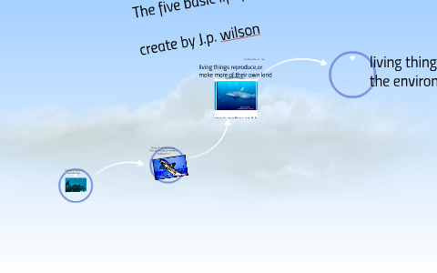 The five basic life functions by REBECCA BAGGETT on Prezi