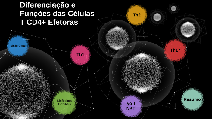 Diferenciação de Função das Células T CD4+ Efetoras by João Victor ...