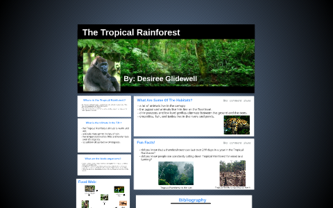 The Tropical Rainforest by Mike Filipowicz on Prezi