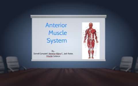 Anterior Muscle System by Darnell Campbell on Prezi