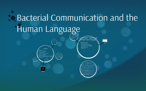 Bacterial Communication and the Human Language by Bethany Slater on Prezi