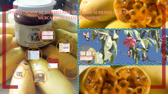 “EXPORTACIÓN DE MERMELADA DE TUMBO SERRANO HACIA EL MERCADO by Elenita ...