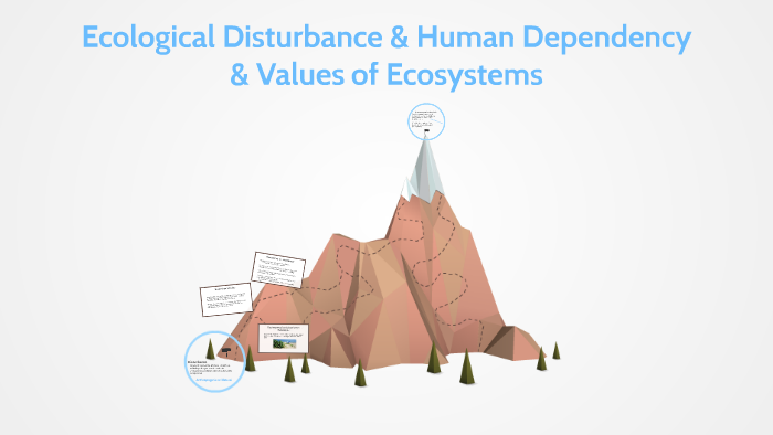 Ecological Disturbance & Human Dependency & Values of Ecosys by Kyle ...