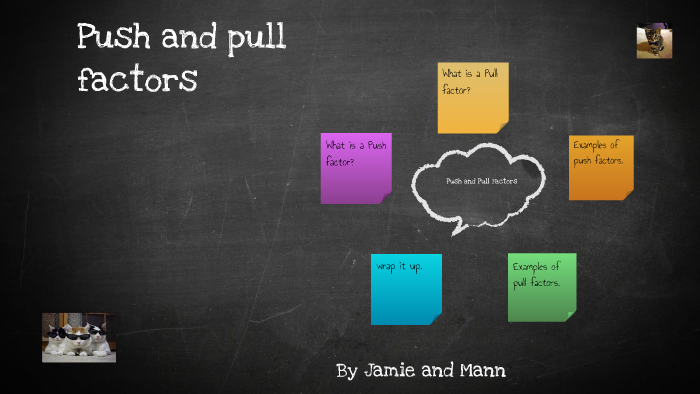 Push and Pull factors by Mann Gupta on Prezi