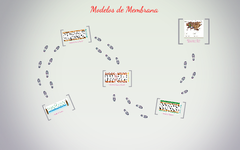 Modelo de Overton by Elsa Vasquez