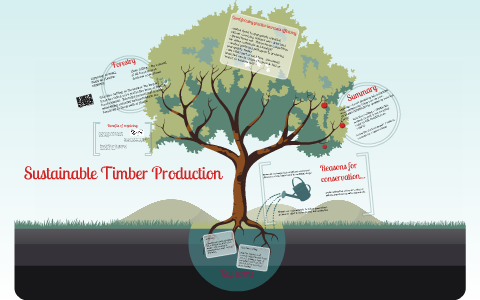 Sustainable timber production by Jono Theuring on Prezi