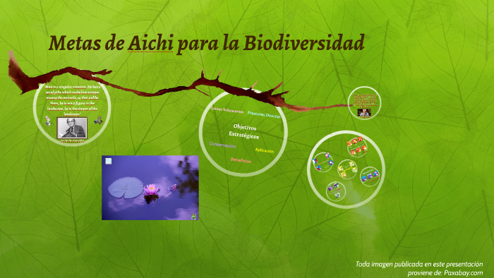 Metas de Aichi para la Biodiversidad by Orlando Arauz on Prezi