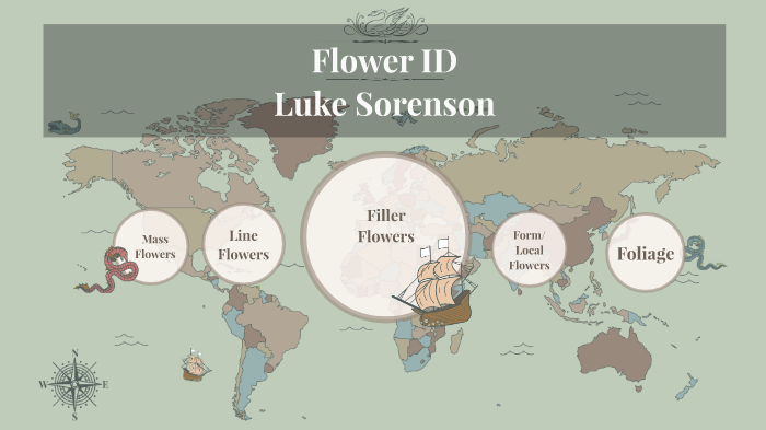 Hort 335 by luke sorenson on Prezi