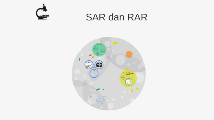 SAR dan RAR by bela ditamia on Prezi